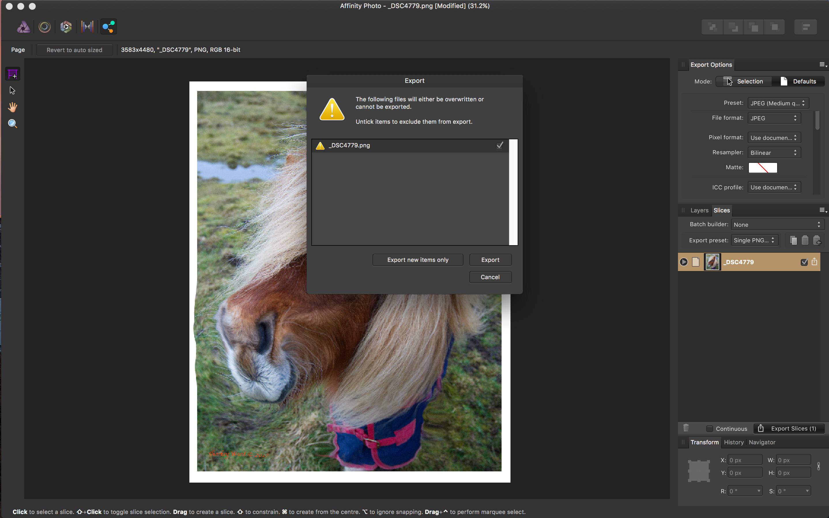 Export Glitch - Pre-V2 Archive of Desktop Questions (macOS and Windows) - Affinity | Forum
