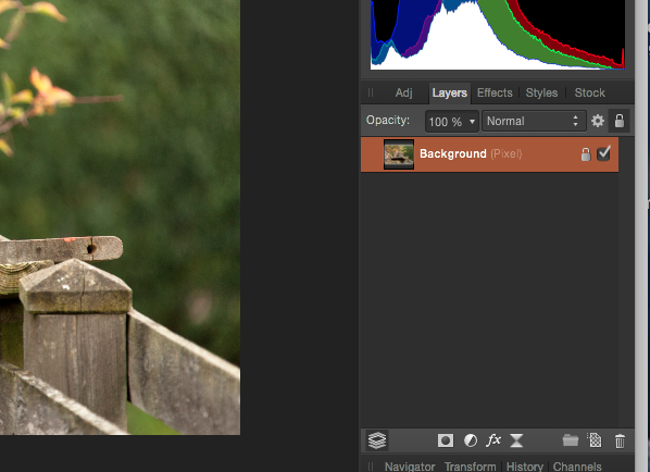 Change the color of a layer - Pre-V2 Archive of Desktop Questions (macOS and Windows) - Affinity ...