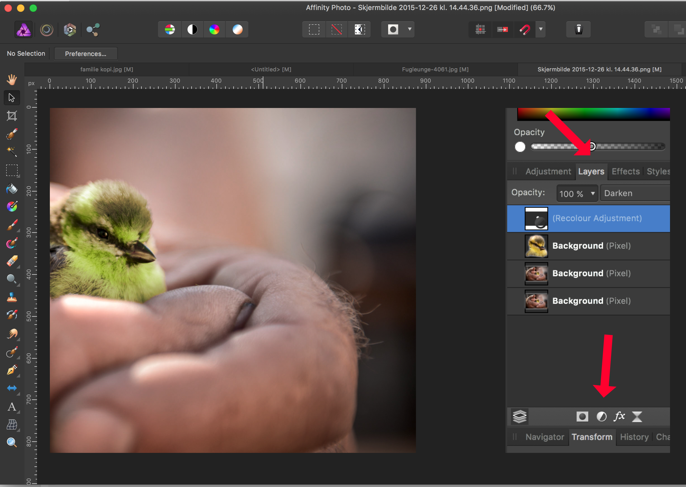 For Photo Replace The Colors Pre V2 Archive Of Affinity On Desktop Questions Macos And