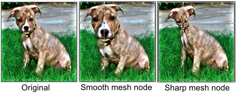 AFphoto :Mesh warp -no mesh visible - Pre-V2 Archive of Affinity on ...