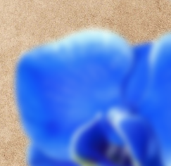 Problems with the Gaussian Blur filter layer - Pre-V2 Archive of Desktop Questions (macOS and ...