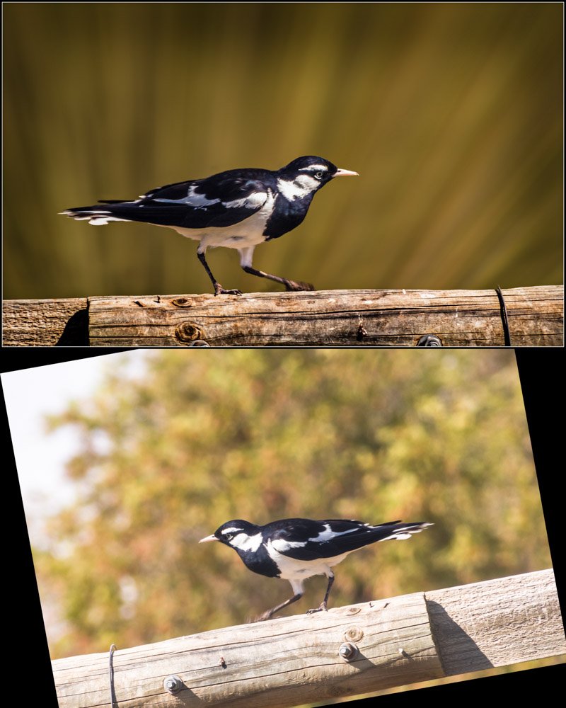 Adding Blur To Background Tutorials Staff And Customer Created Tutorials Affinity Forum