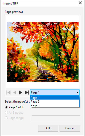 Tiff export layers opened in Photoshop gets flattened? - Pre-V2 Archive ...