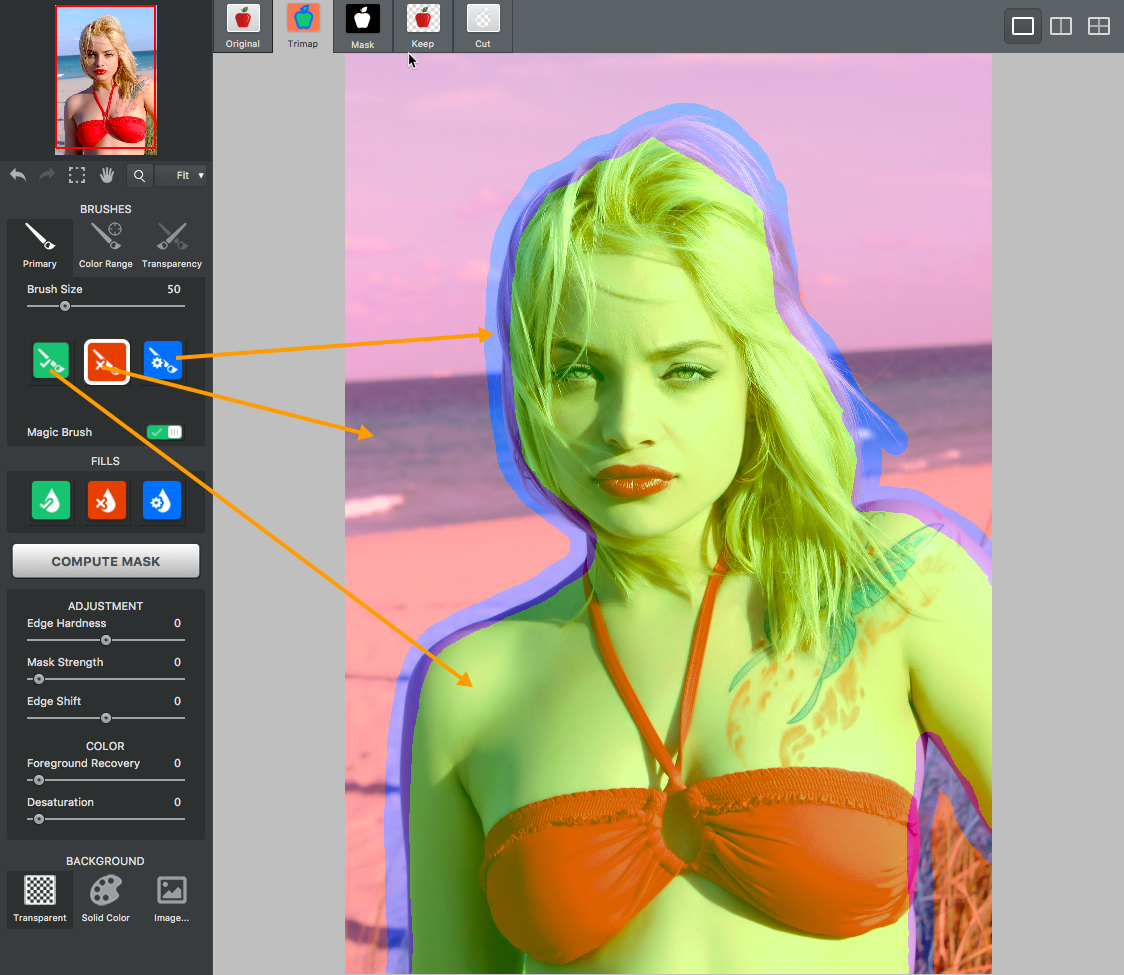 Function To Remove Background From Picture With One Click Pre V2