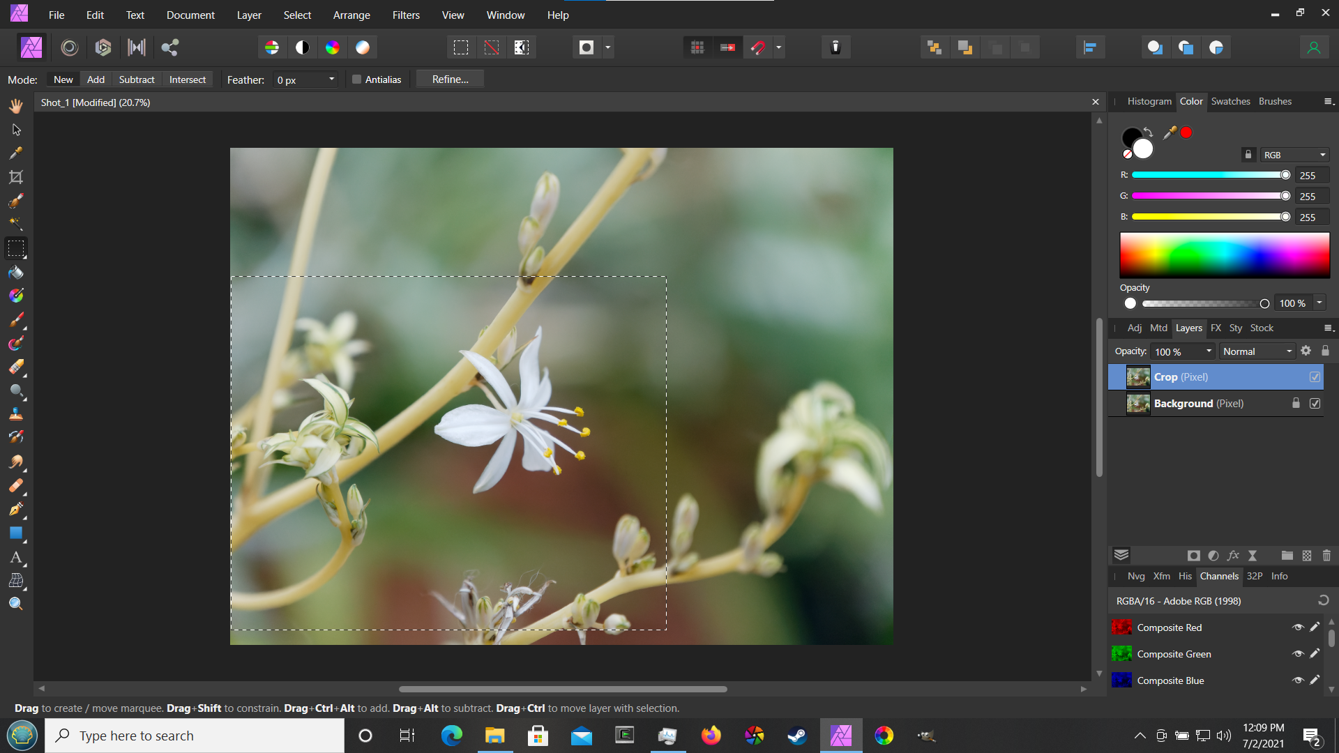 Problem With Photo Crop Tool Pre V2 Archive Of Affinity On Desktop Questions Macos And