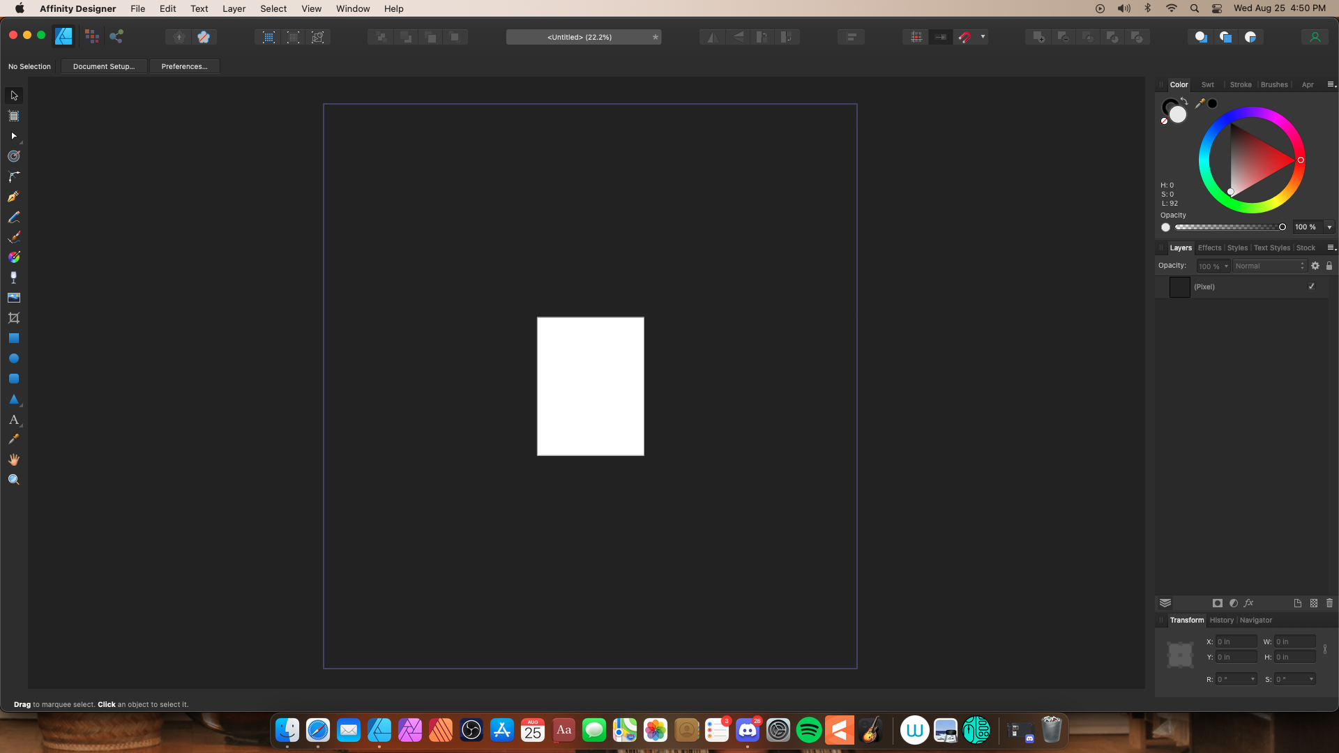What Is This Blue Box Around My Work Area Affinity On Desktop 