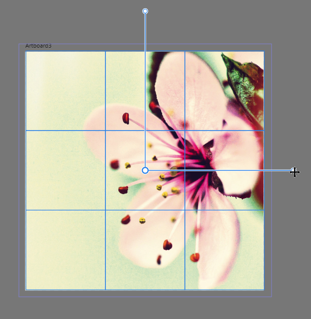 cutting 1 image into 4 equal parts - Pre-V2 Archive of Desktop ...