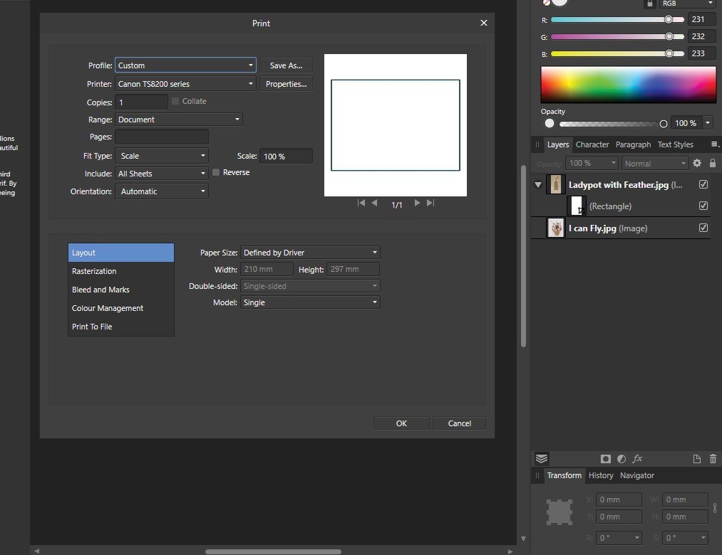 Basic Printing Problem - The print routine persists in selecting the ...