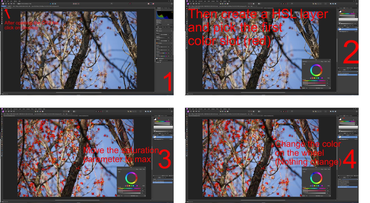 HSL adjustment layer with CR2 files - Pre-V2 Archive of Desktop Questions (macOS and Windows ...