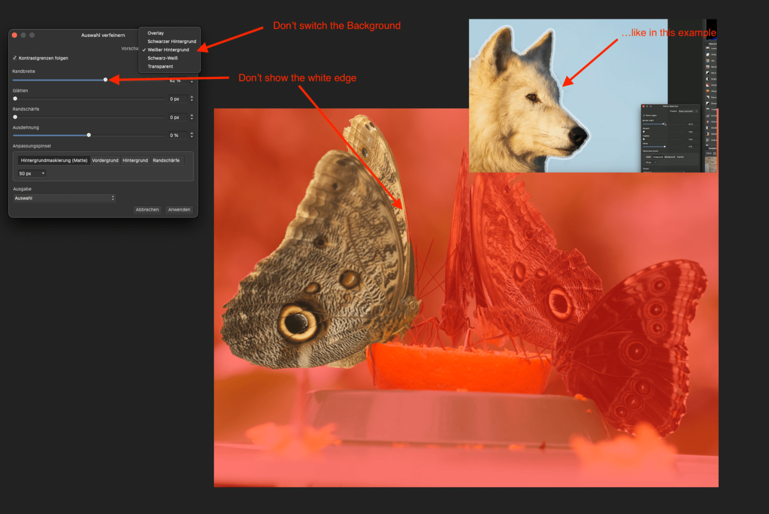 refinement tool don't show border width - V1 Bugs found on macOS - Affinity | Forum