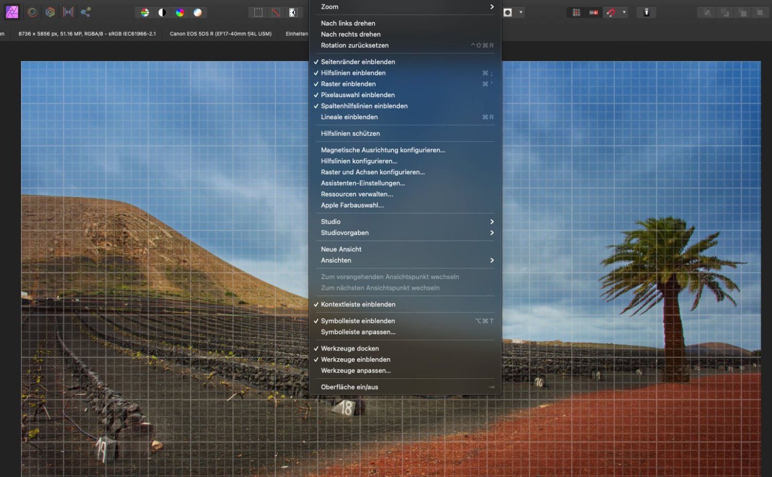 Grid doesn't show up - V2 Bugs found on macOS - Affinity | Forum