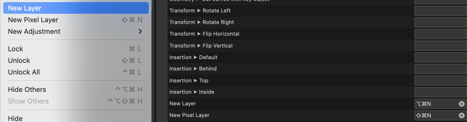 Affinity Designer 2.0.3 MACOS New Layer Shortcut Issue - Desktop Questions (macOS and Windows ...