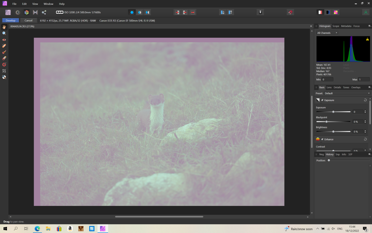 cr3 images with pink tinge and border. Canon R3 camera. - Affinity on Desktop Questions (macOS ...