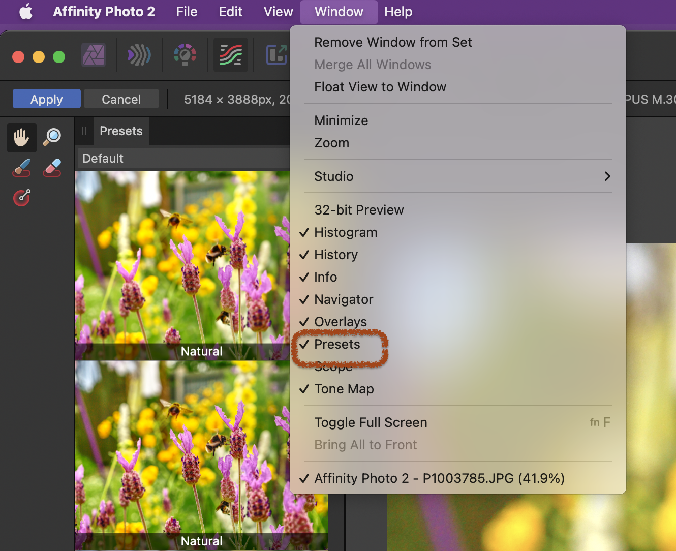 Tone Map - Affinity on Desktop Questions (macOS and Windows) - Affinity | Forum
