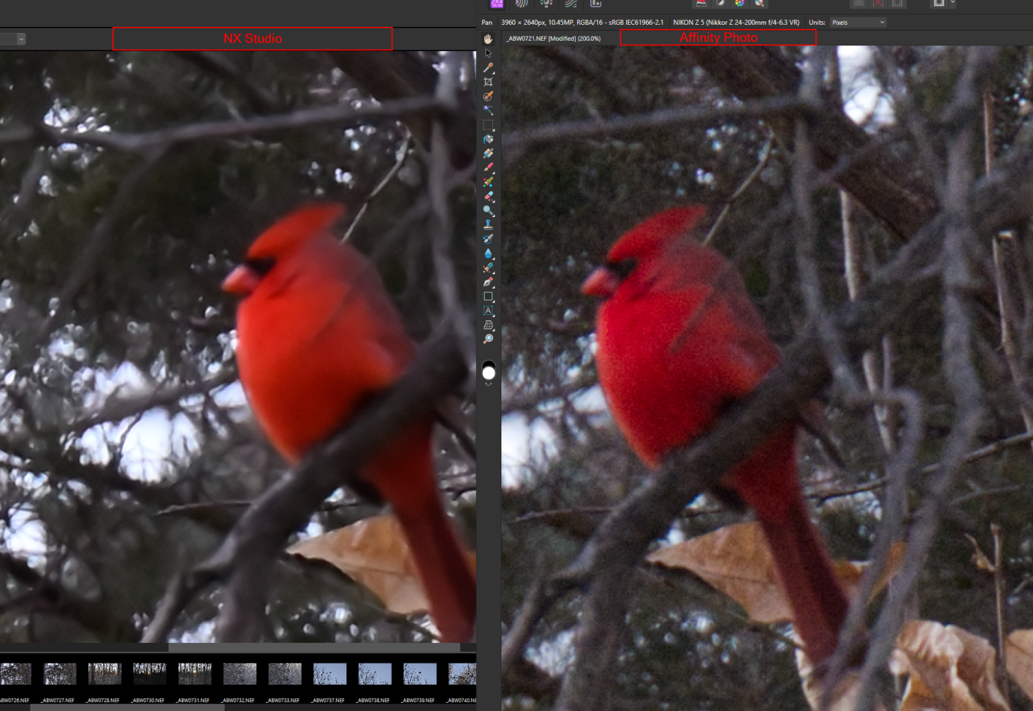 Images in RAW Persona seem "off" - Affinity on Desktop Questions (macOS ...