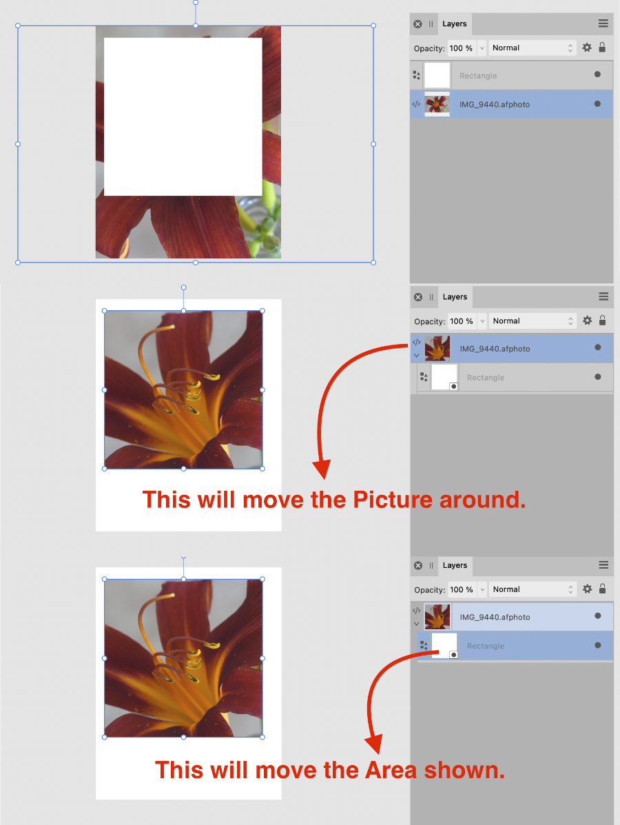 Crop an one image/layer within a Photo document - Desktop Questions ...