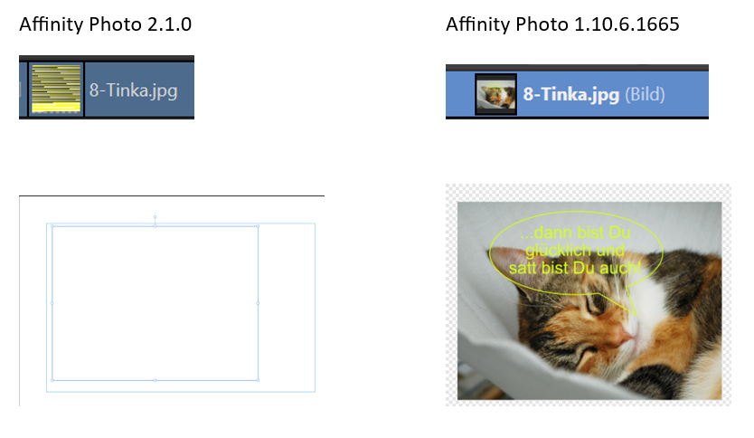 Placing Pictures Doesnt Work V2 Bugs Found On Windows Affinity Forum 5564