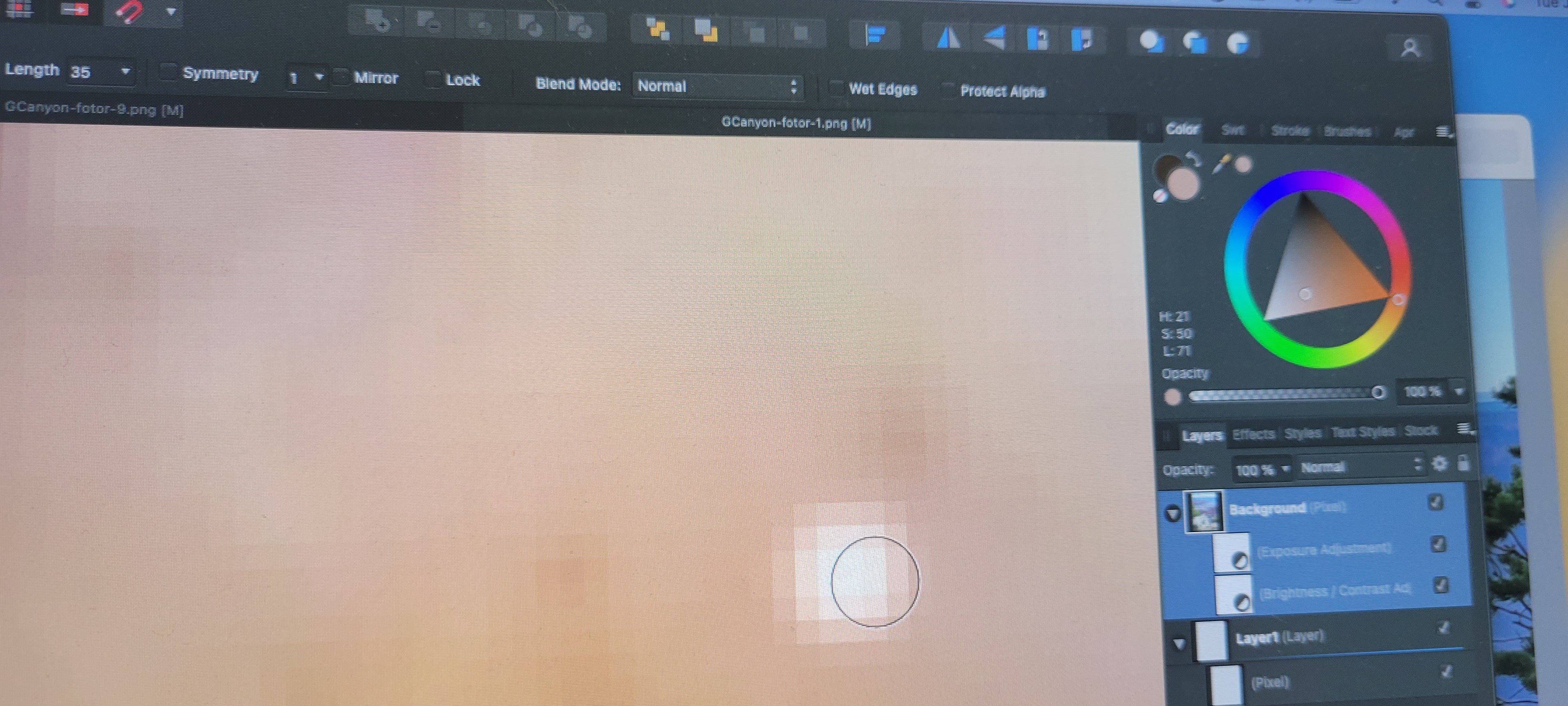 paint brush paints with wrong color !! - V1 Bugs found on macOS - Affinity | Forum