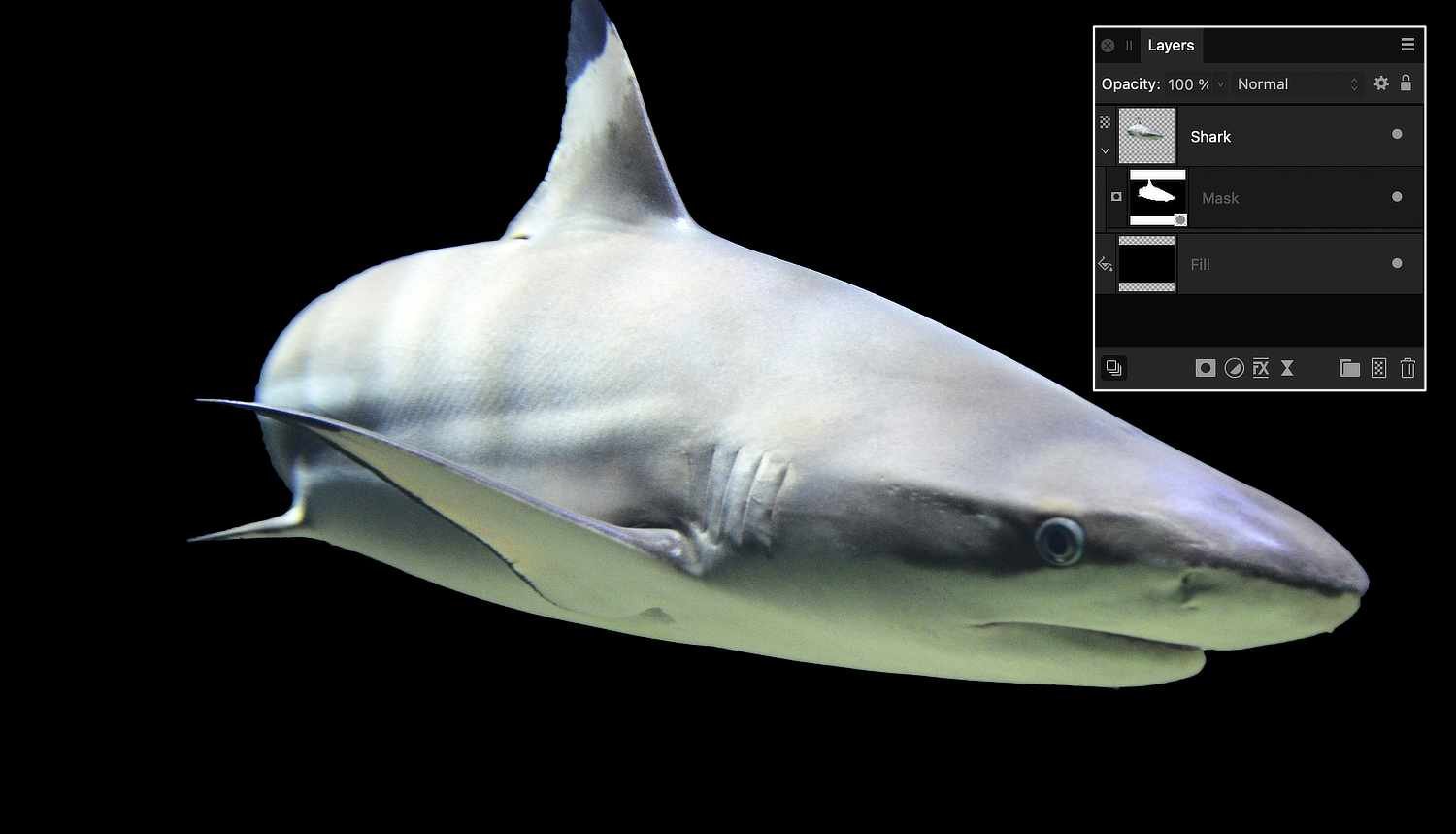 Doing a mask layer to reveal a pixel layer underneath it, but black is revealing and white is ...