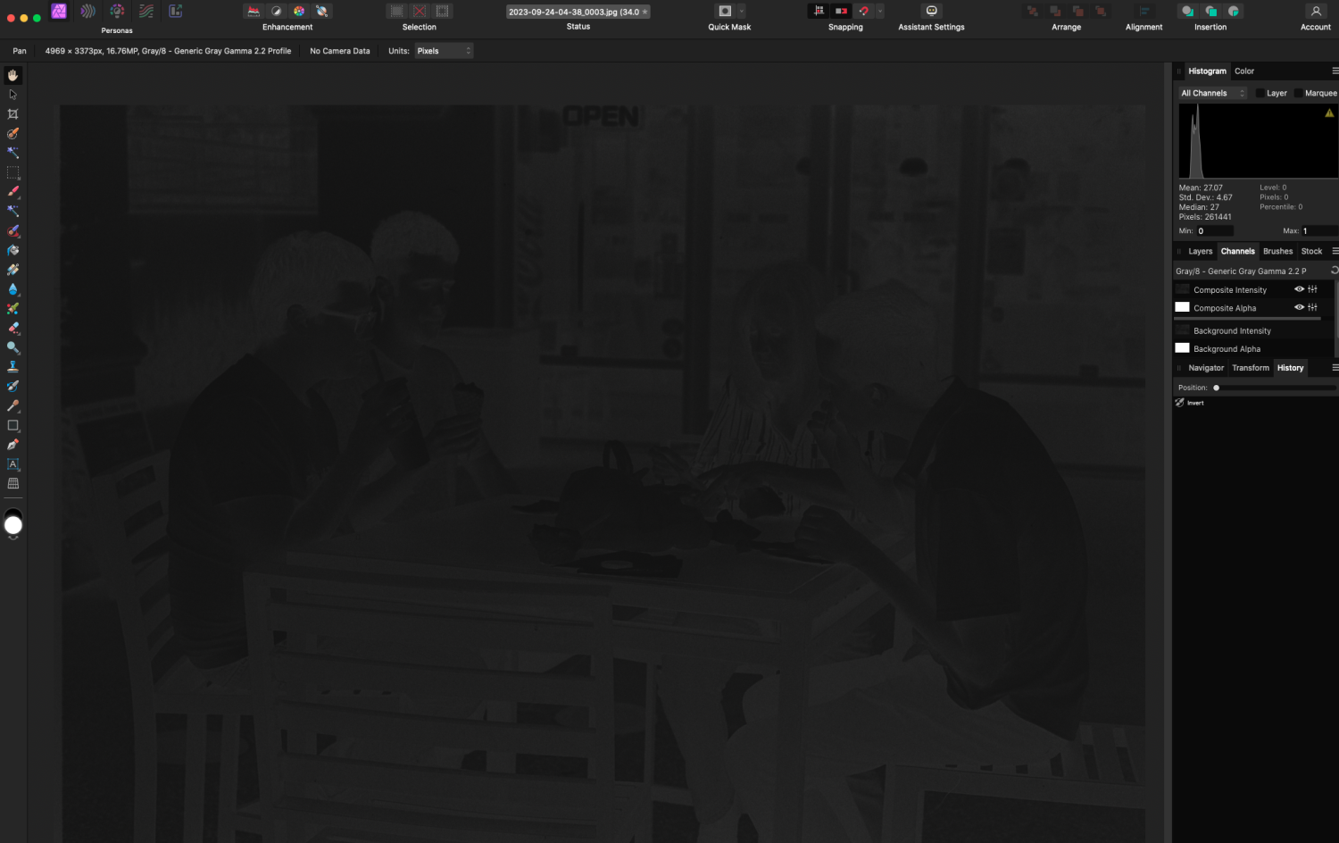 Problem inverting B&W negatives - Desktop Questions (macOS and Windows ...