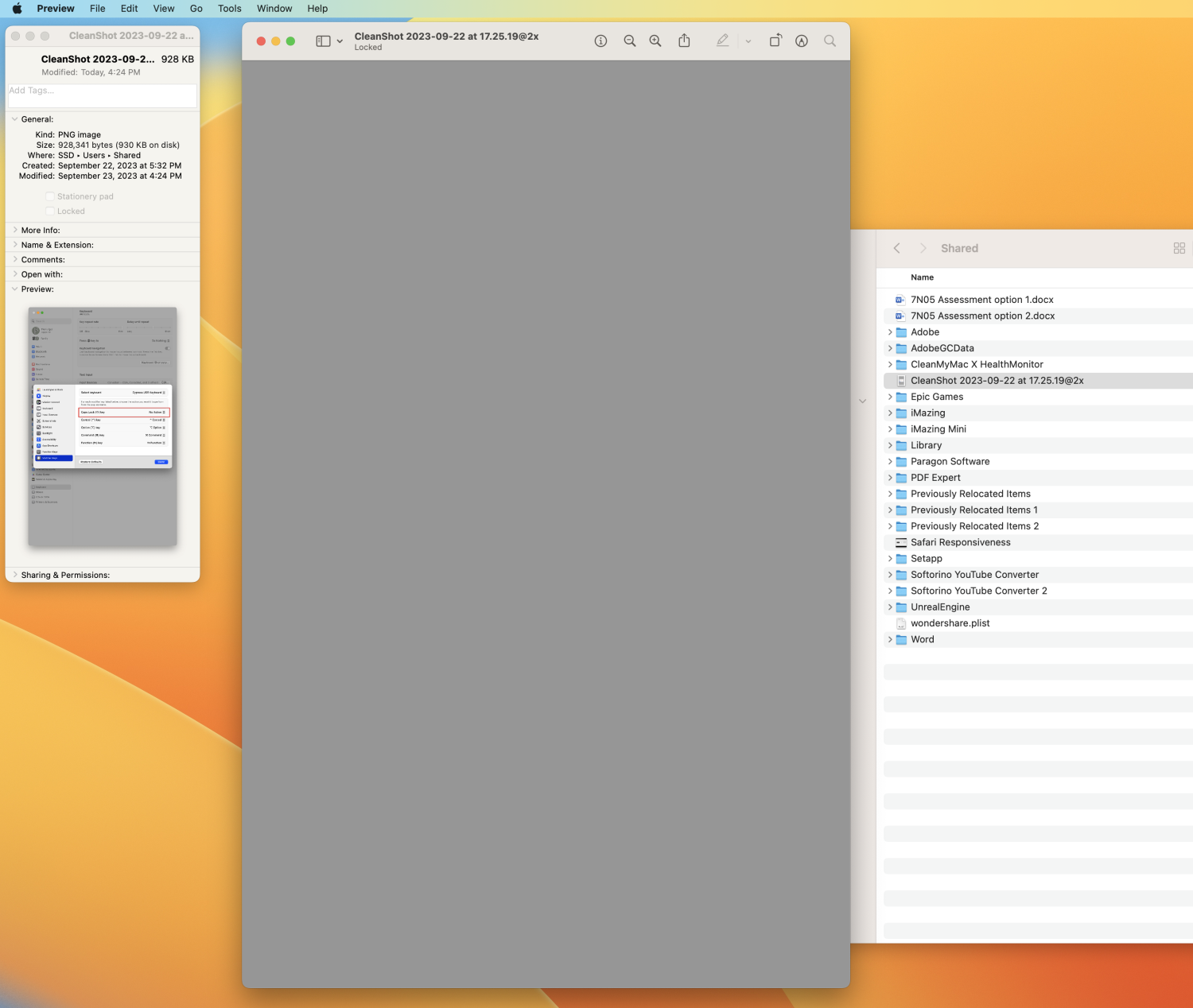 Images failing to display properly in Ventura - V2 Bugs found on macOS - Affinity | Forum