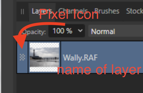 develop RAW as Pixel results in .NEF file not .JPG - Desktop Questions (macOS and Windows ...