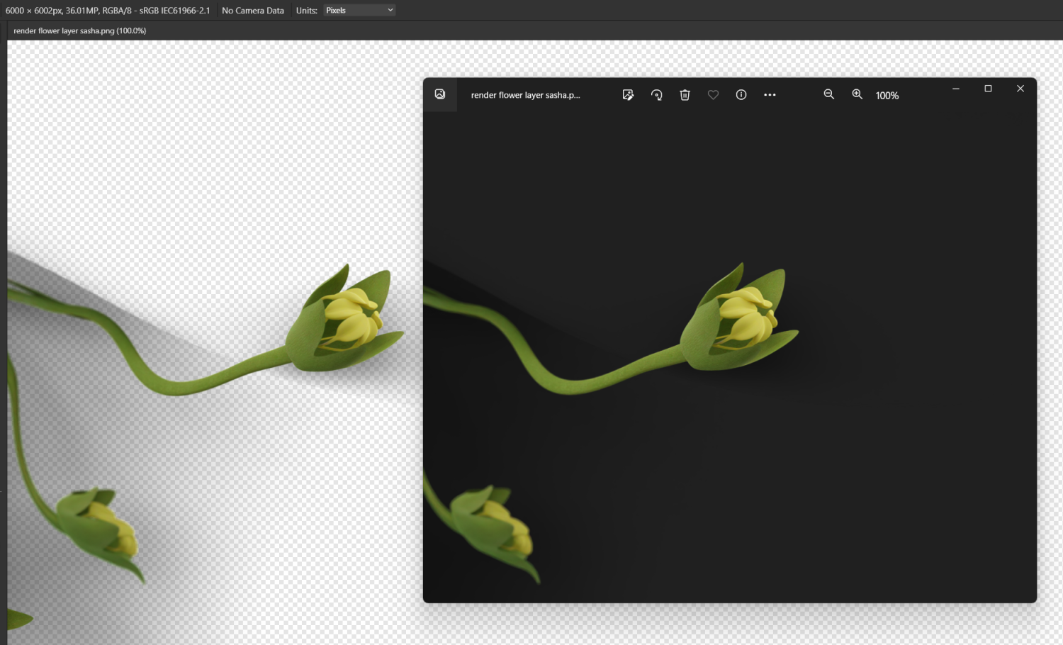 Pixelation on import of any image - V2 Bugs found on Windows - Affinity | Forum