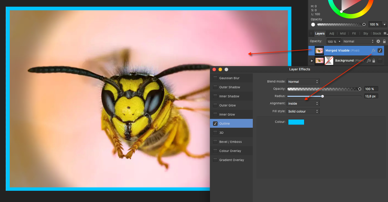Problem adding a border after cropping - Desktop Questions (macOS and Windows) - Affinity | Forum