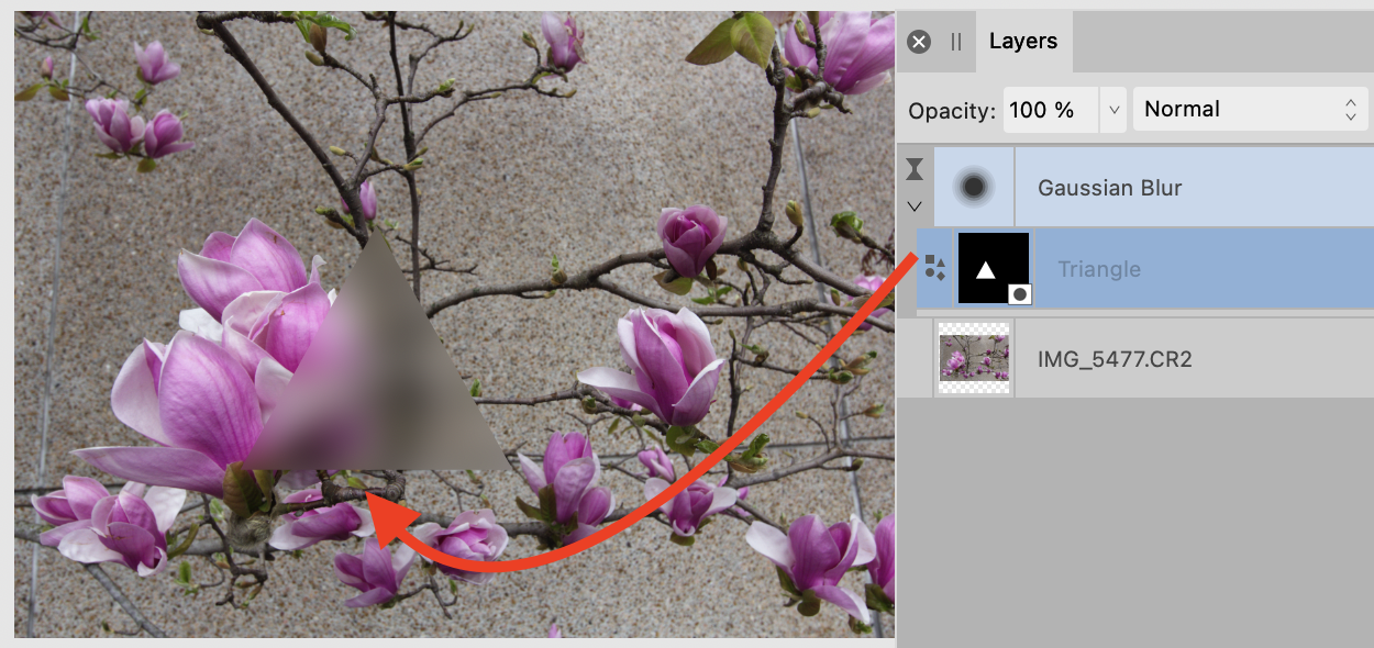 Layer Blending Modes and Blur Effect - Desktop Questions (macOS and Windows) - Affinity | Forum
