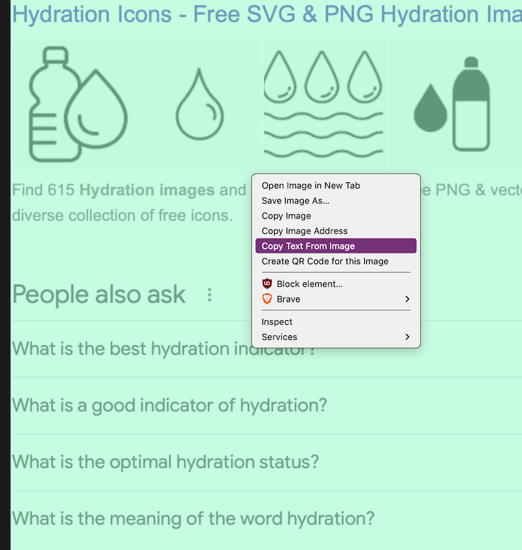 Is there a way to copy text from an image file? - Desktop Questions (macOS and Windows ...
