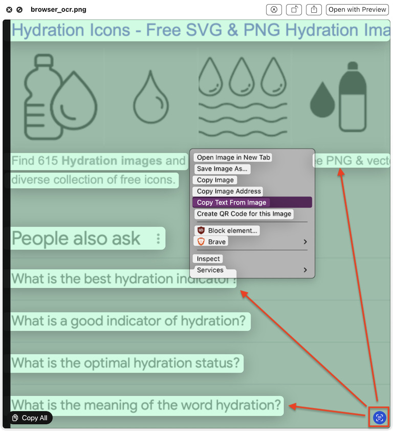 Is there a way to copy text from an image file? - Desktop Questions (macOS and Windows ...