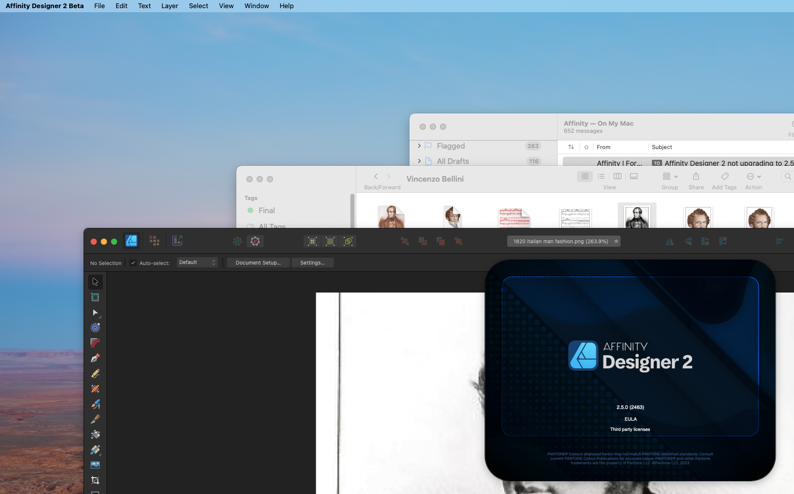 Affinity Designer 2 not upgrading to 2.5.0 - Desktop Questions (macOS and Windows) - Affinity ...