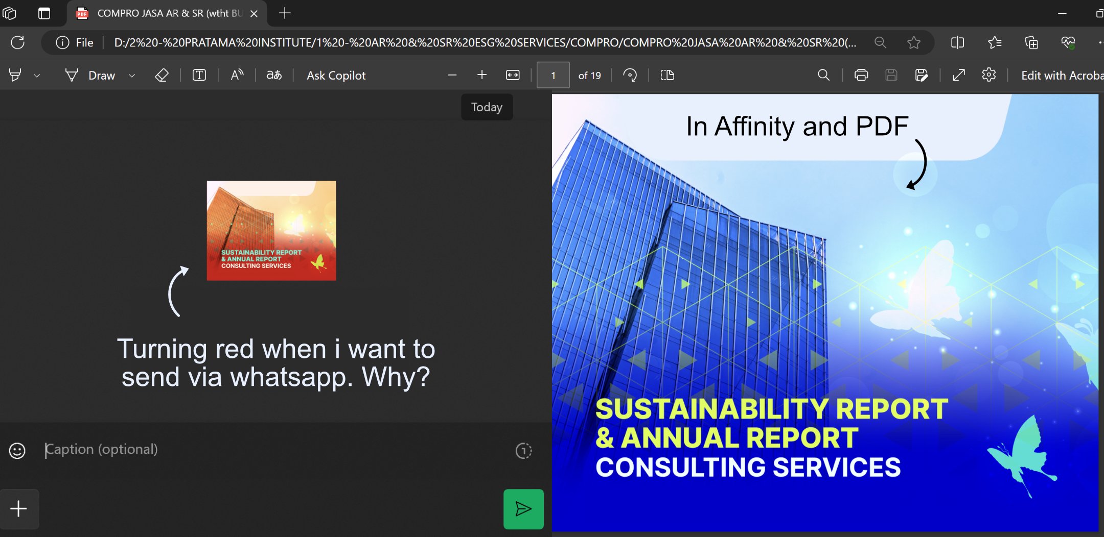The preview file color turning red - Affinity on Desktop Questions (macOS and Windows ...