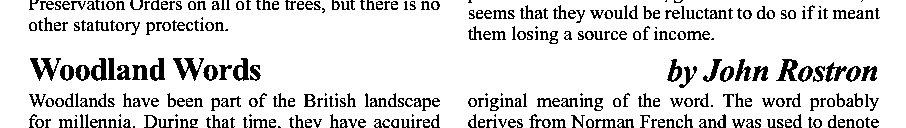 Creating a standardised header textbox - Desktop Questions (macOS and Windows) - Affinity | Forum
