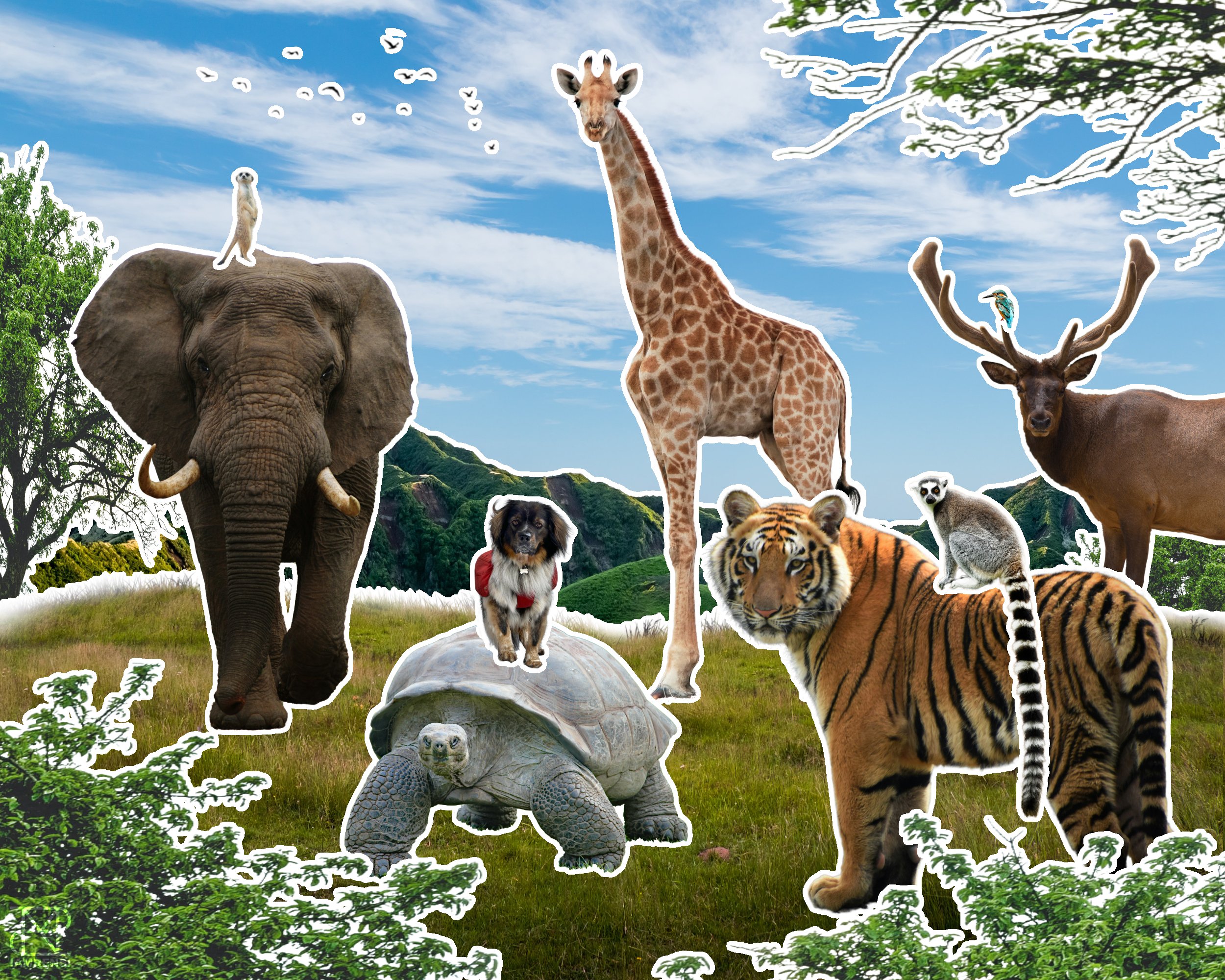 My (Unofficial) Entry For The Photo Editing Challenge - 13 Photos, One ... My (Unofficial) Entry For The Photo Editing Challenge - 13 Photos, One ...
