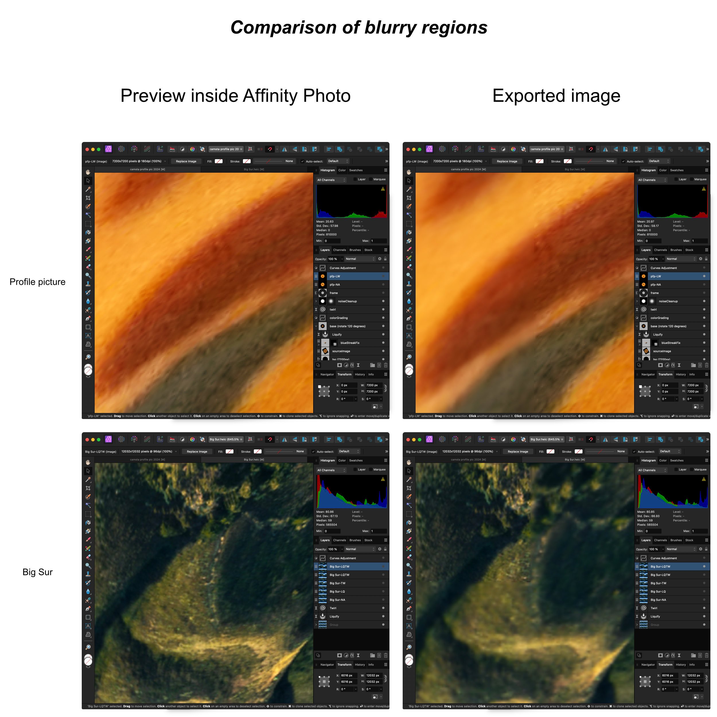 High-resolution documents with Liquify and Twirl filter export with blurry artifacts. - V2 Bugs ...