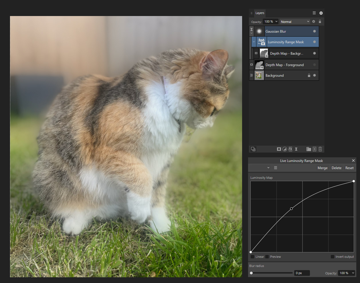 Luminosity Mask from Depth Map? - Desktop Questions (macOS and Windows) - Affinity | Forum