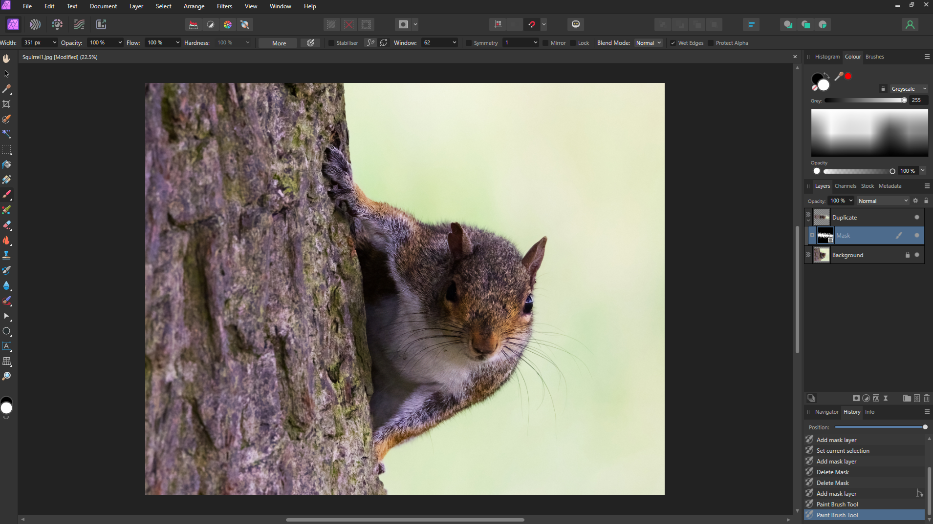 Adding Empty Mask to pixel layer - Desktop Questions (macOS and Windows) - Affinity | Forum