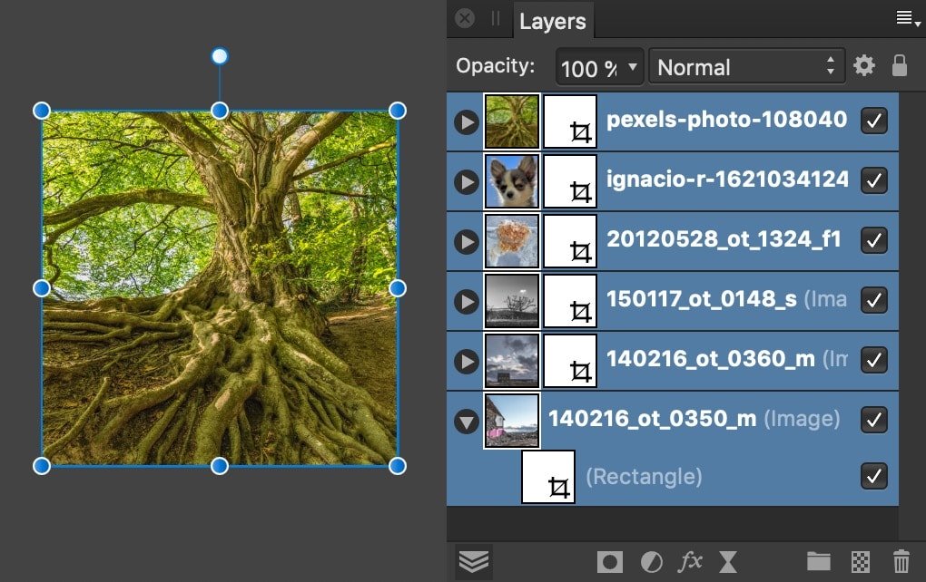 Is there a way to automatically fit Export Persona Blue Image boundary boxes? - Desktop ...