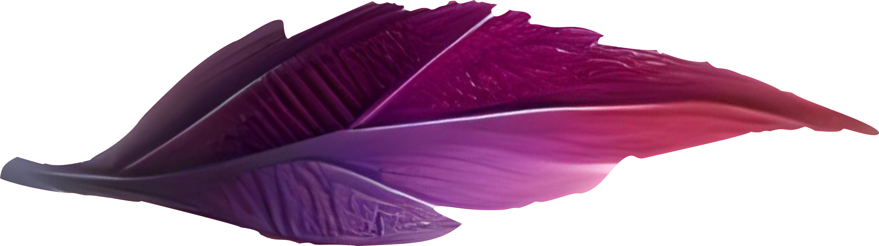 Affinity Designer Tutorial: Create Custom Brushes (raster/pixel) - Tutorials (Staff and Customer ...