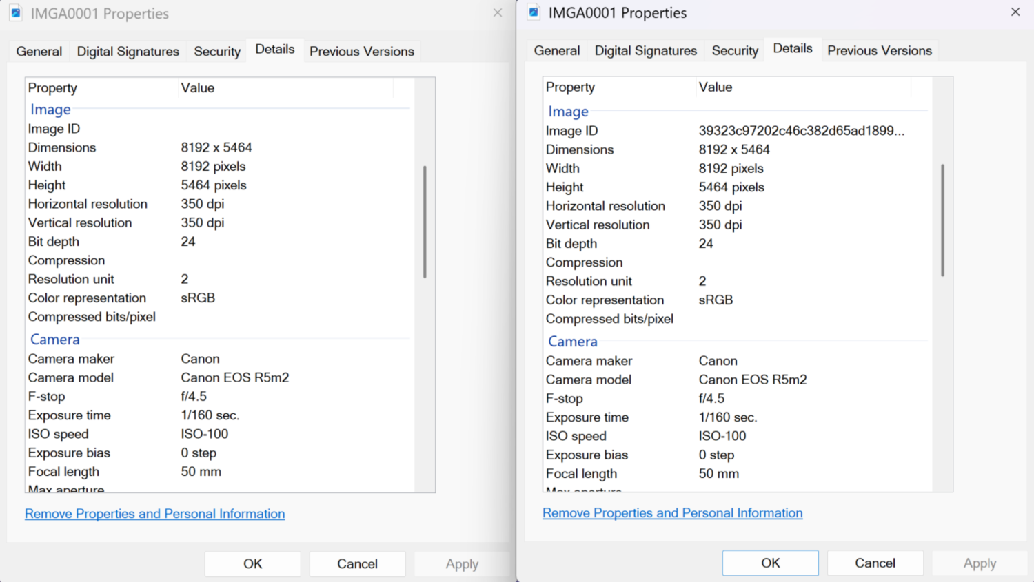 Assistance with Exporting - Desktop Questions (macOS and Windows) - Affinity | Forum